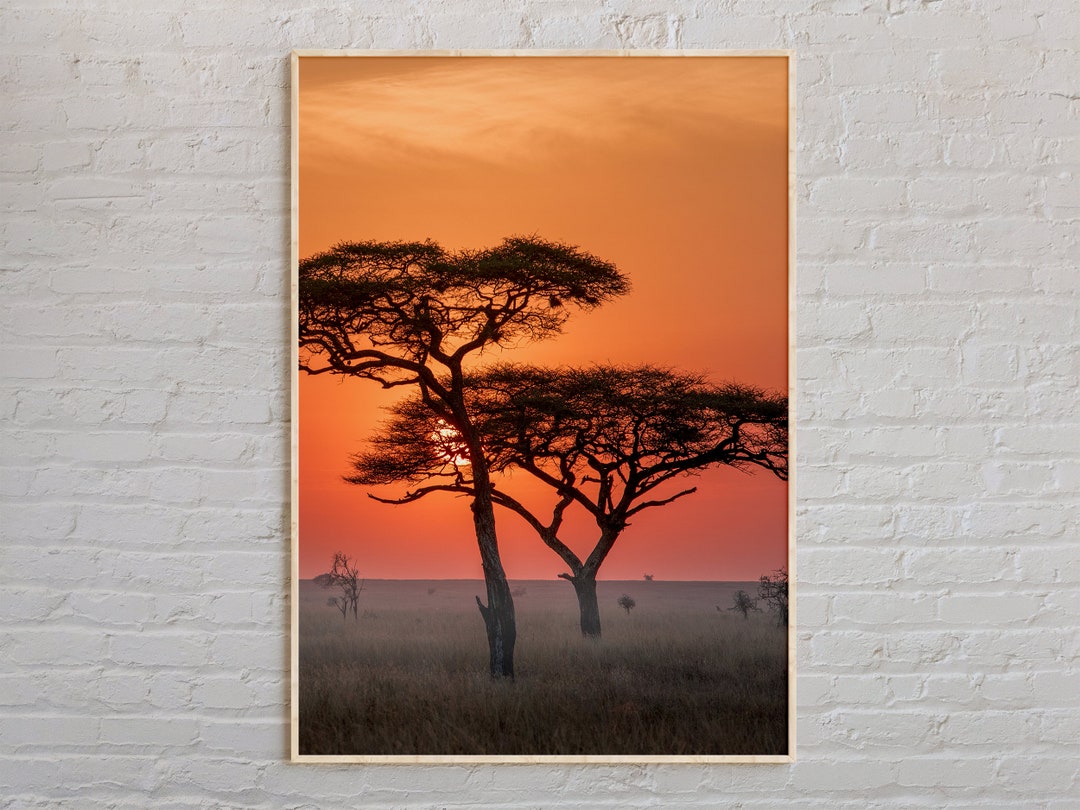 Real Photo, Tanzania Print, Tanzania Wall Art, Tanzania Poster ...