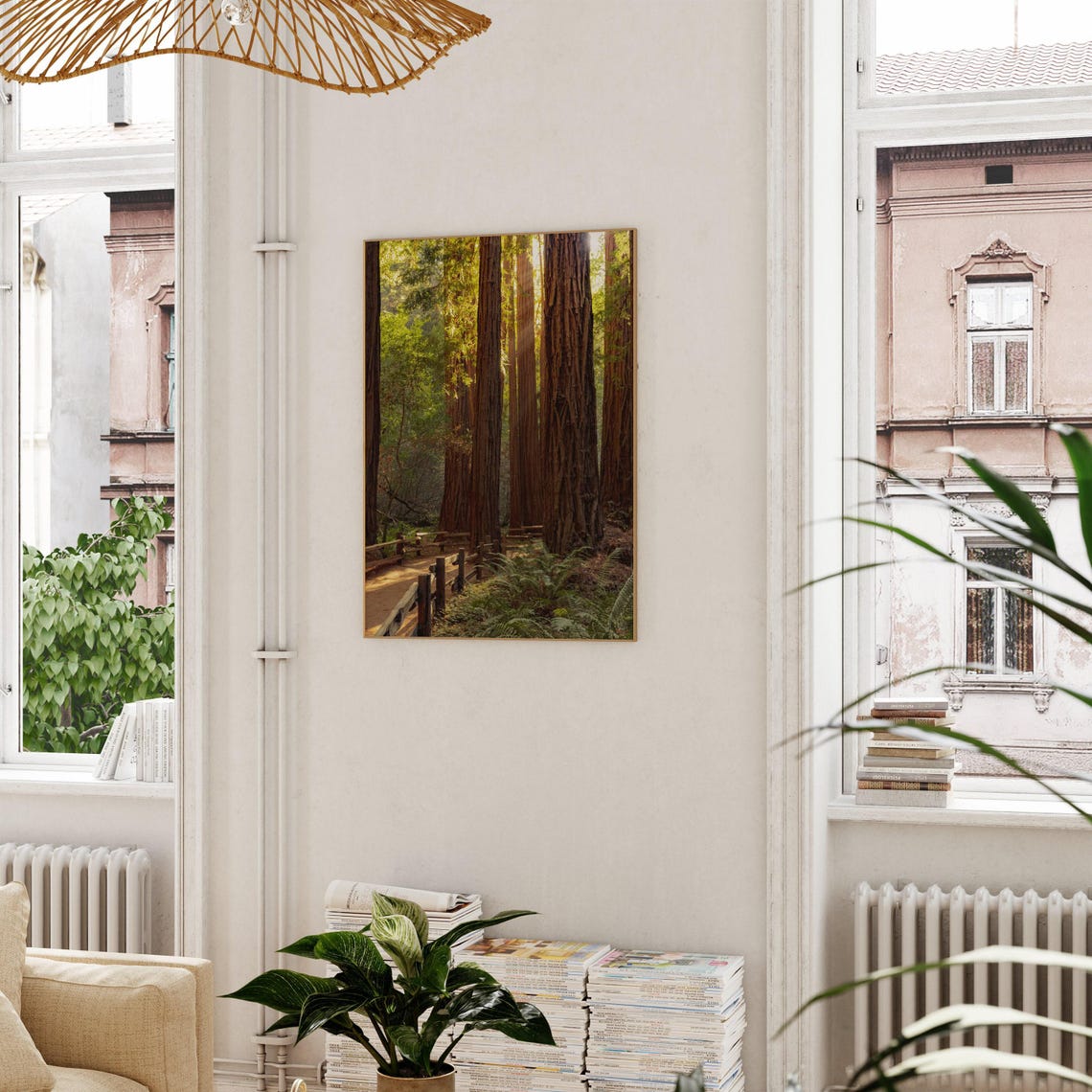 Real Photo, Muir Woods National Monument Print, Muir Woods Wall Art ...