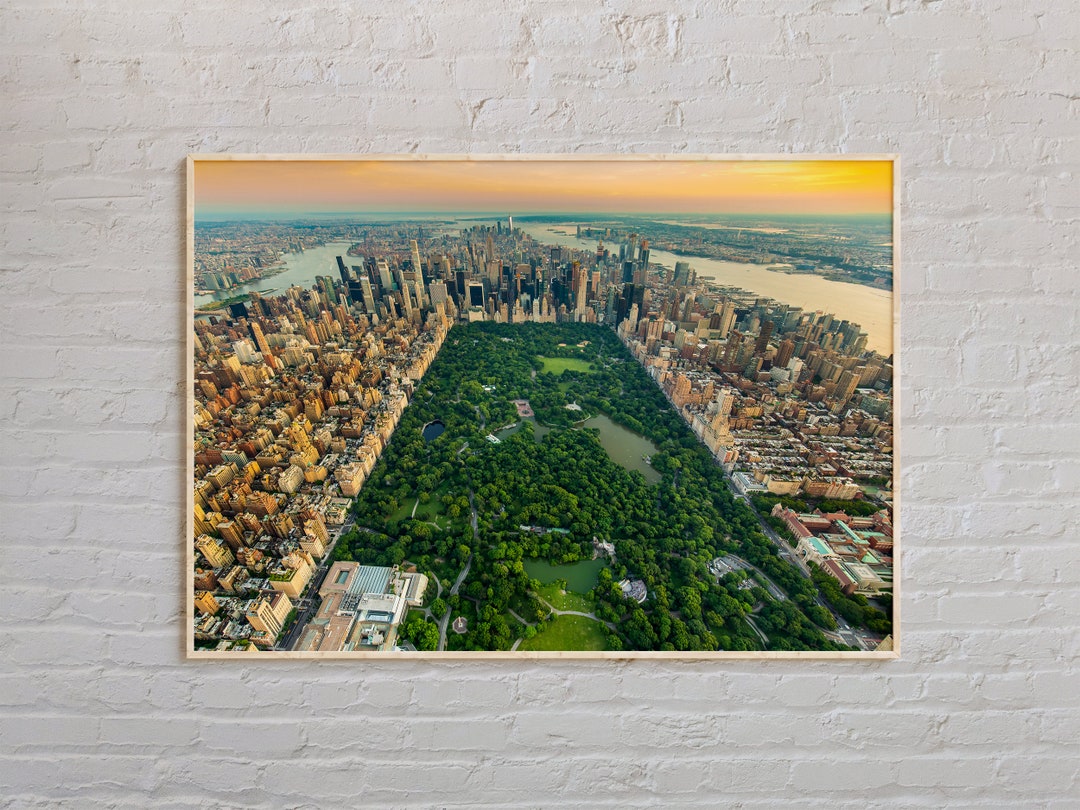 Real Photo, Central Park Print, Central Park Wall Art, Central Park ...