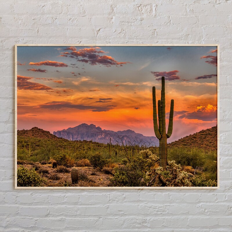 Saguaro Painting - Etsy