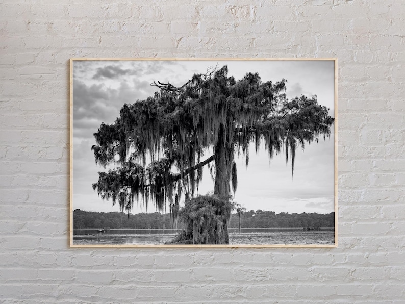 Black and White, Louisiana Print, Louisiana Wall Art, Louisiana Poster ...