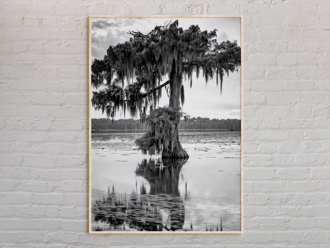 Black and White, Louisiana Print, Louisiana Wall Art, Louisiana Poster ...