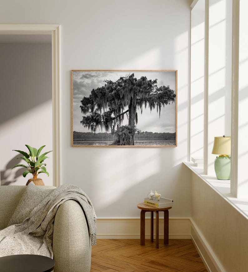 Black and White, Louisiana Print, Louisiana Wall Art, Louisiana Poster ...
