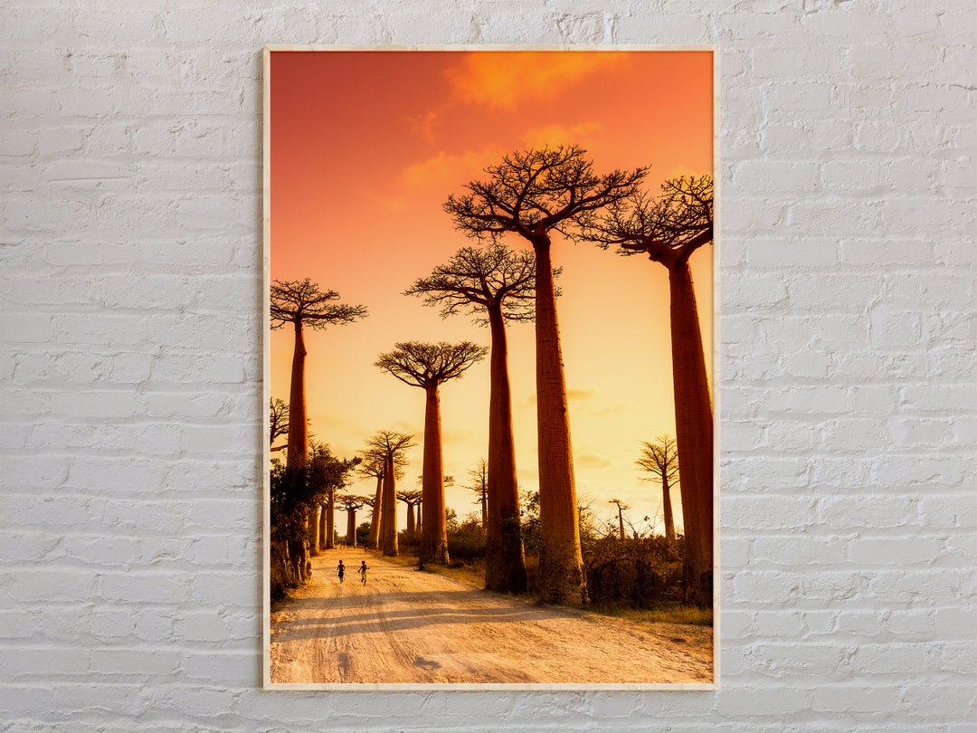 Real Photo, Madagascar Print, Madagascar Wall Art, Madagascar Poster ...