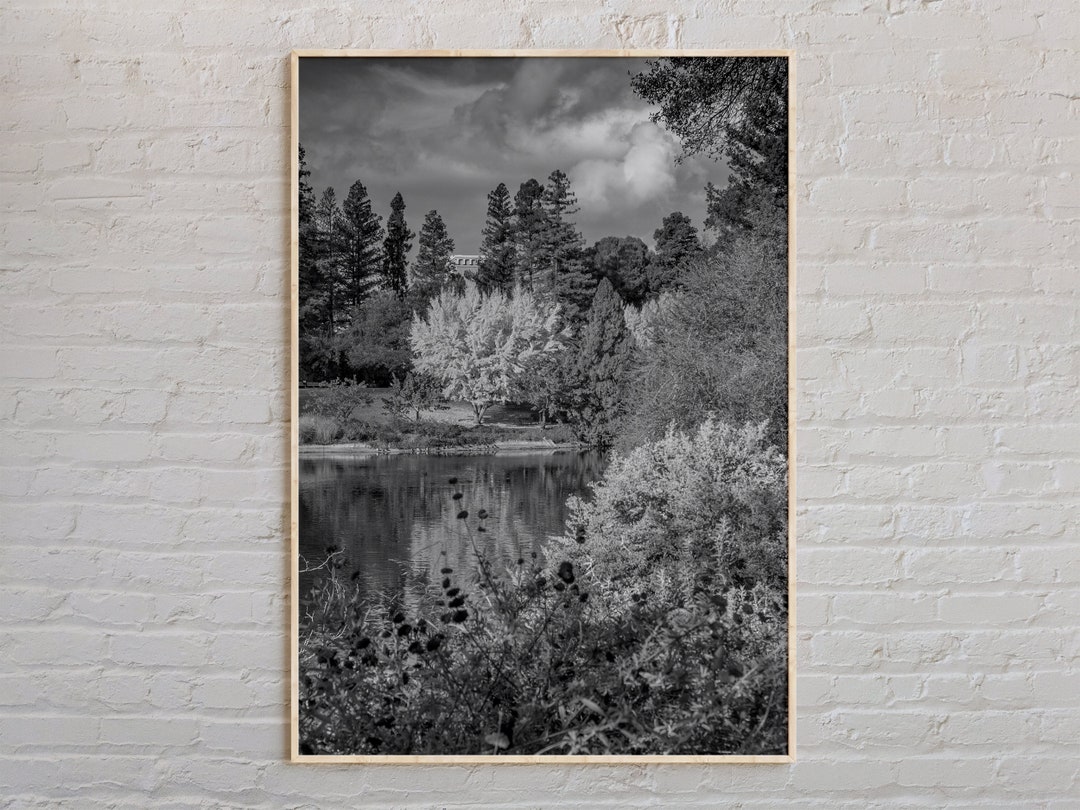 Black and White, Davis Print, Davis Wall Art, Davis Poster, Davis Photo ...