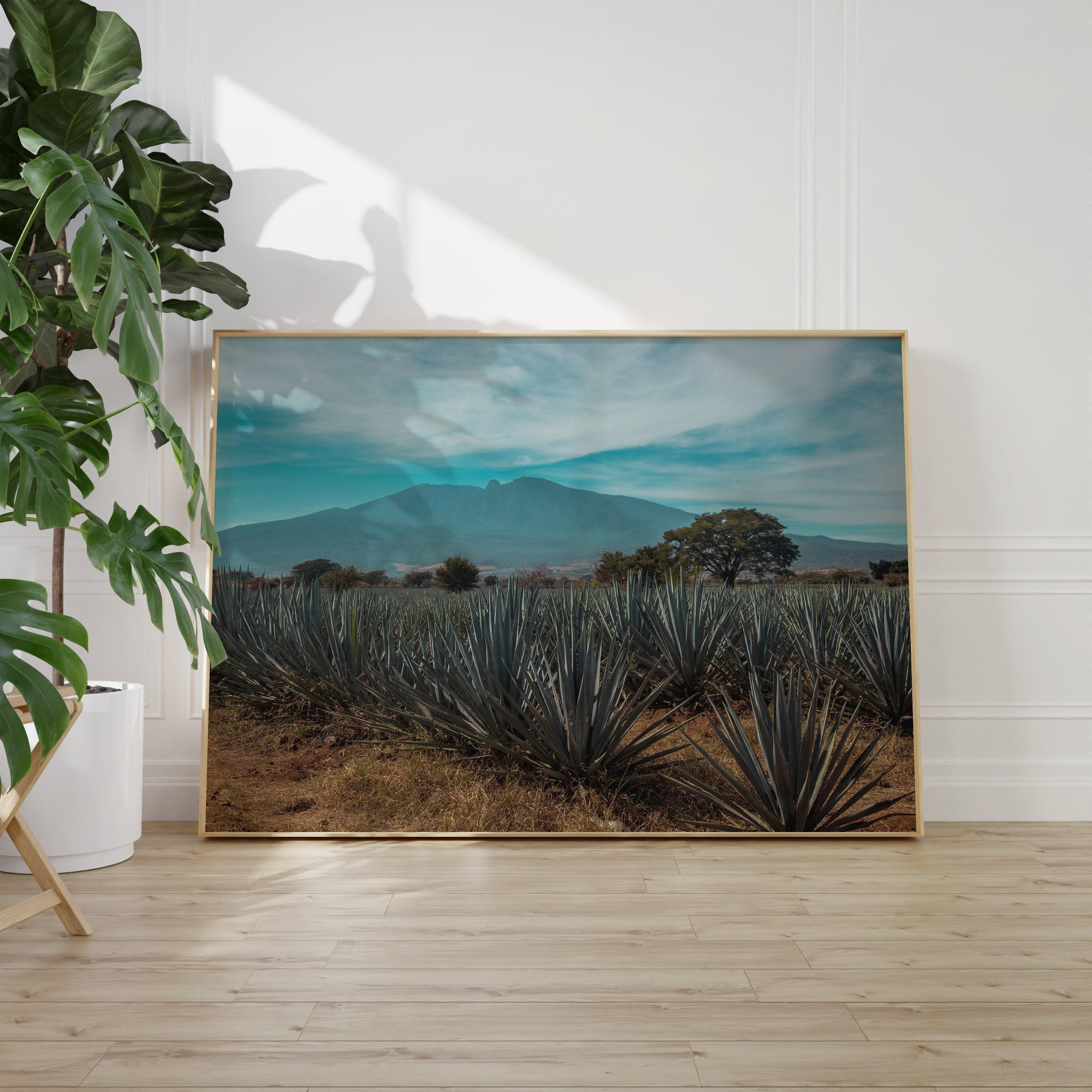 Real Photo, Jalisco Print, Jalisco Wall Art, Jalisco Poster, Jalisco ...