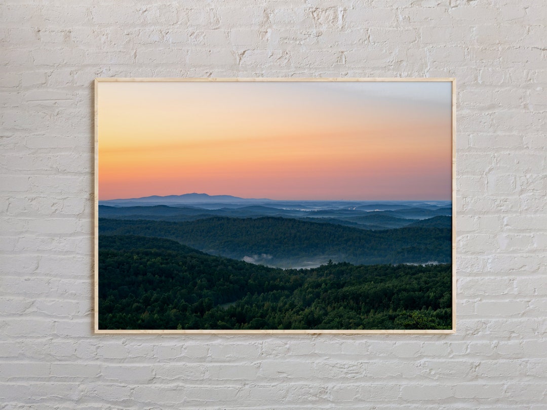 Real Photo, South Carolina Print, South Carolina Wall Art, South ...