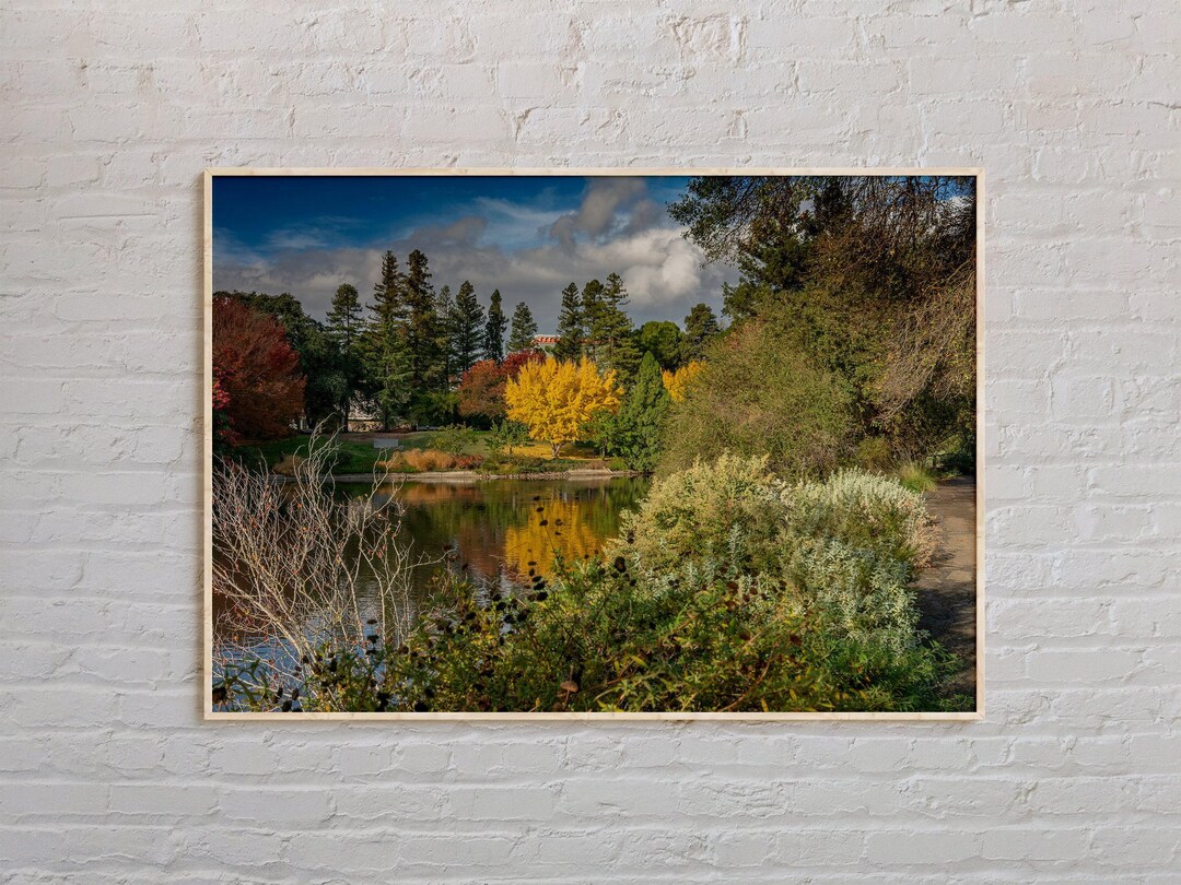 Real Photo, Davis Print, Davis Wall Art, Davis Poster, Davis Photo ...