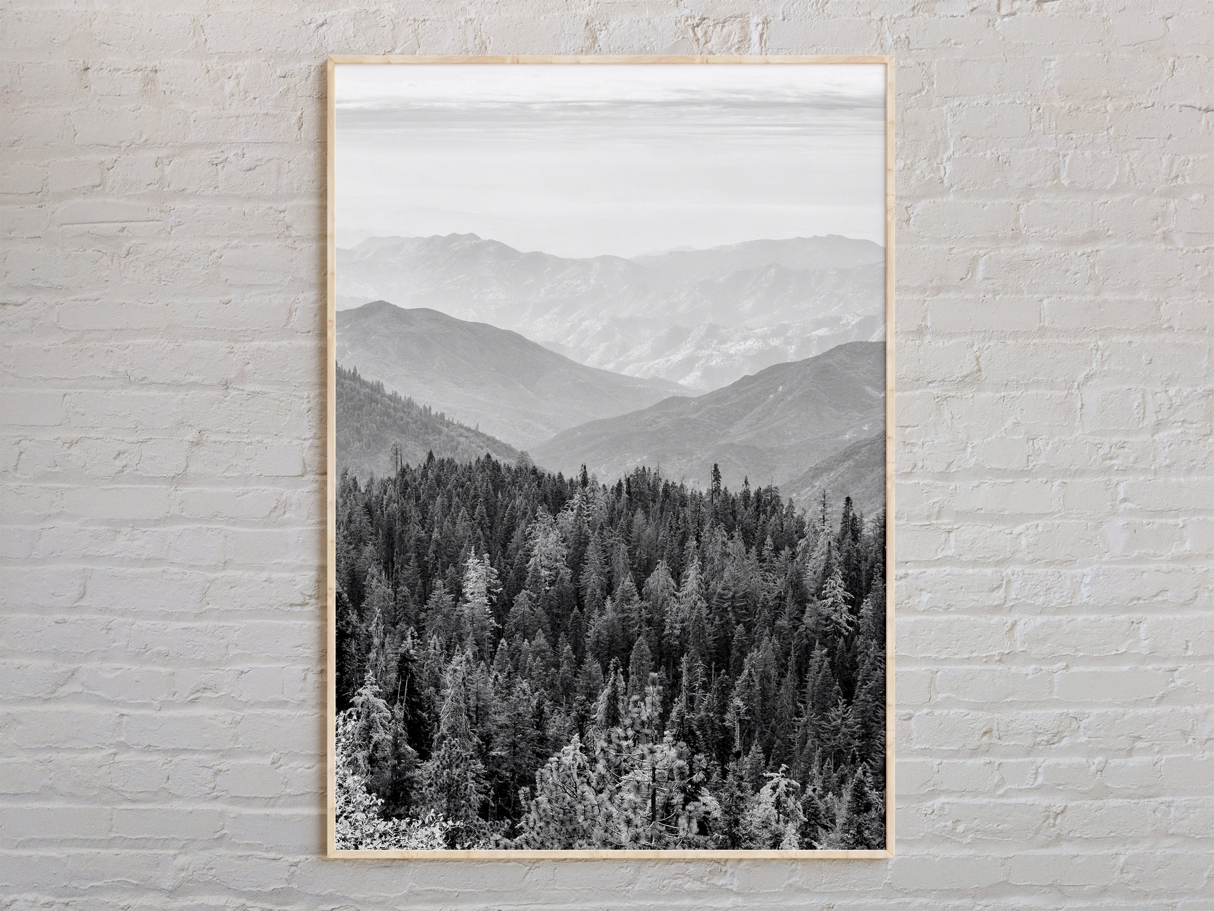 Black and White, Sequoia National Park Print, Sequoia Wall Art, Sequoia ...