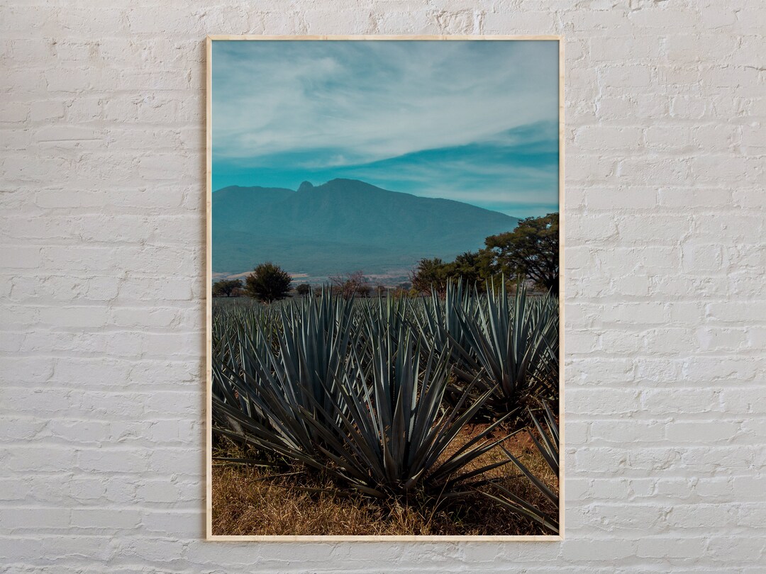 Real Photo, Jalisco Print, Jalisco Wall Art, Jalisco Poster, Jalisco ...