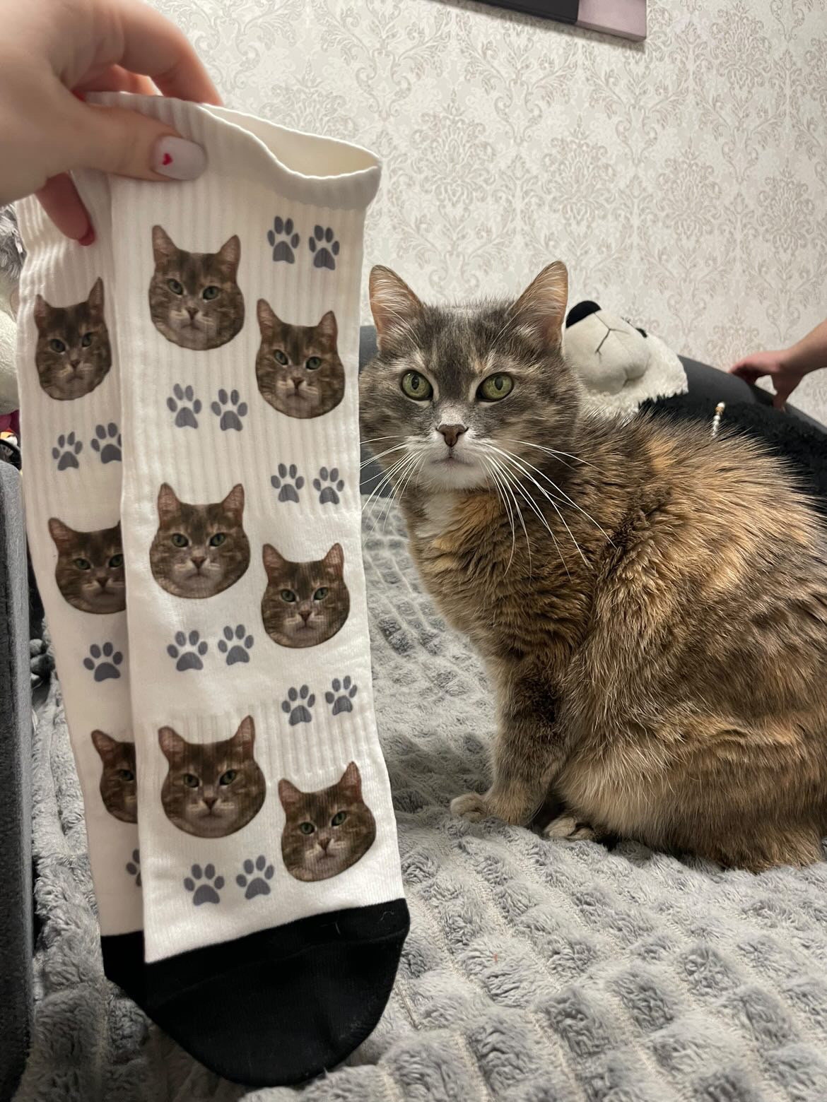 Custom Cat Face Socks, Custom Pet Photo Socks, Personalized Pet Socks ...