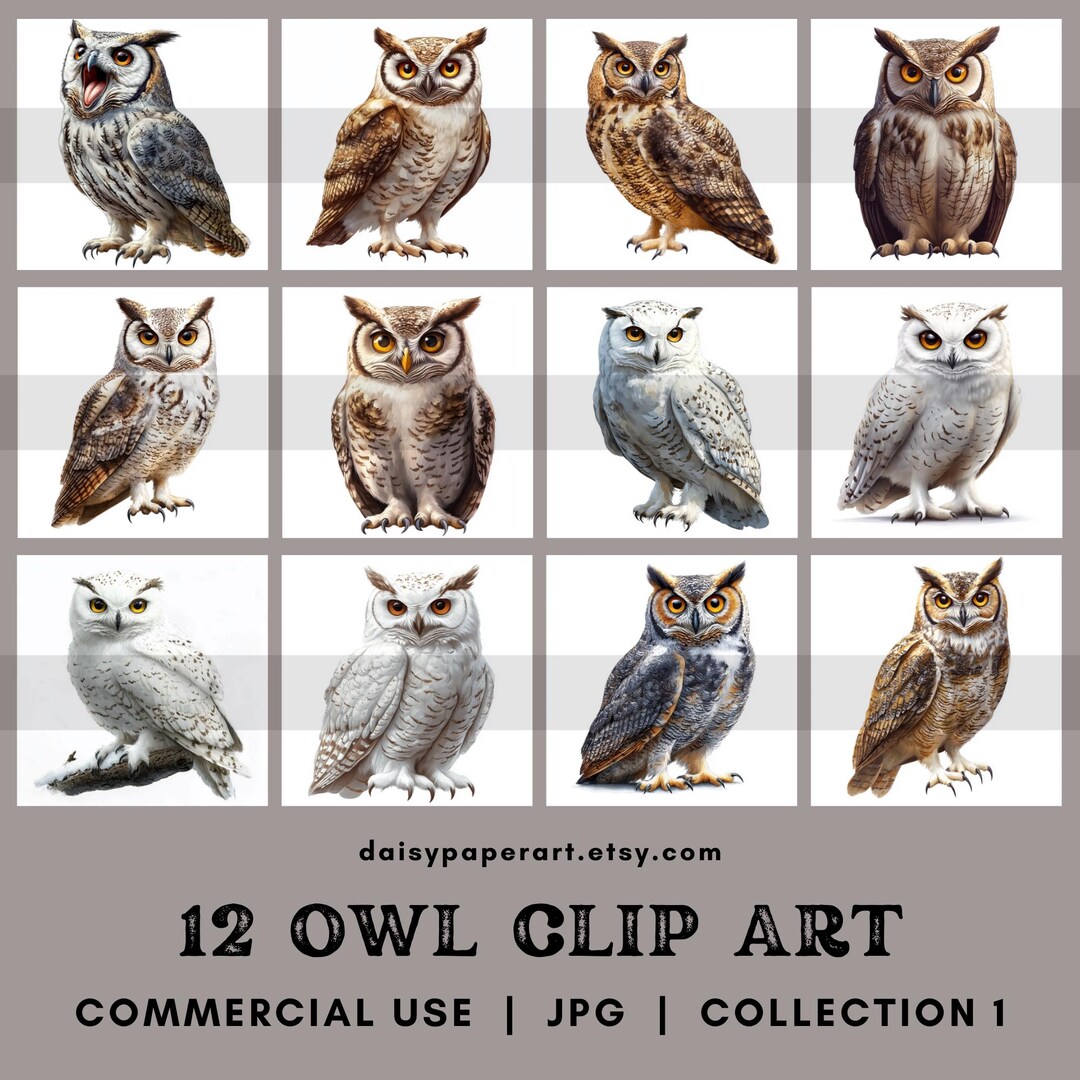 12 Owl Clip Art Images Printable Jpgs Downloadable Owl Images Bird Clip ...
