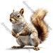 12 Squirrel Clip Art Images Printable Jpgs Downloadable Squirrel Images ...