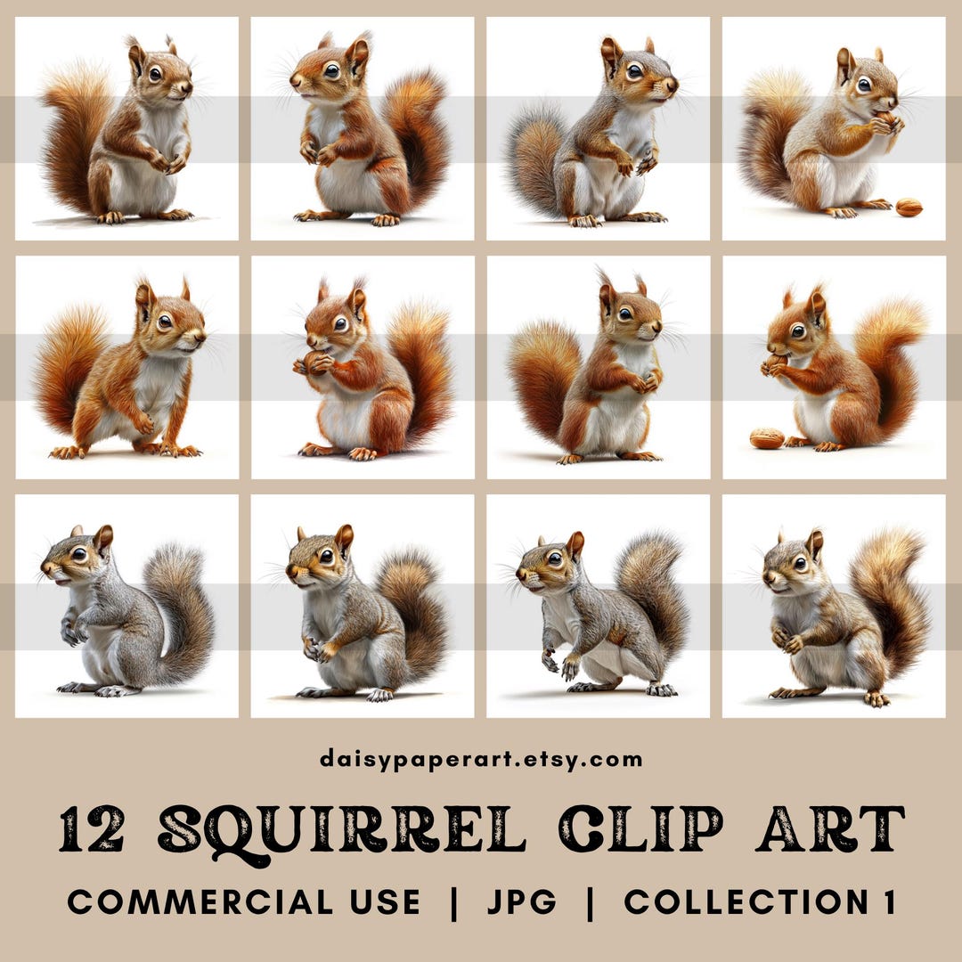 12 Squirrel Clip Art Images Printable Jpgs Downloadable Squirrel Images ...