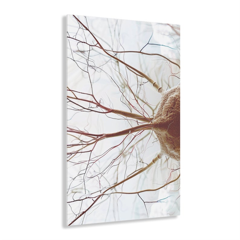 Mapa de red neuronal: diagrama cerebral, nexo neuronal, lienzo acrílico ...