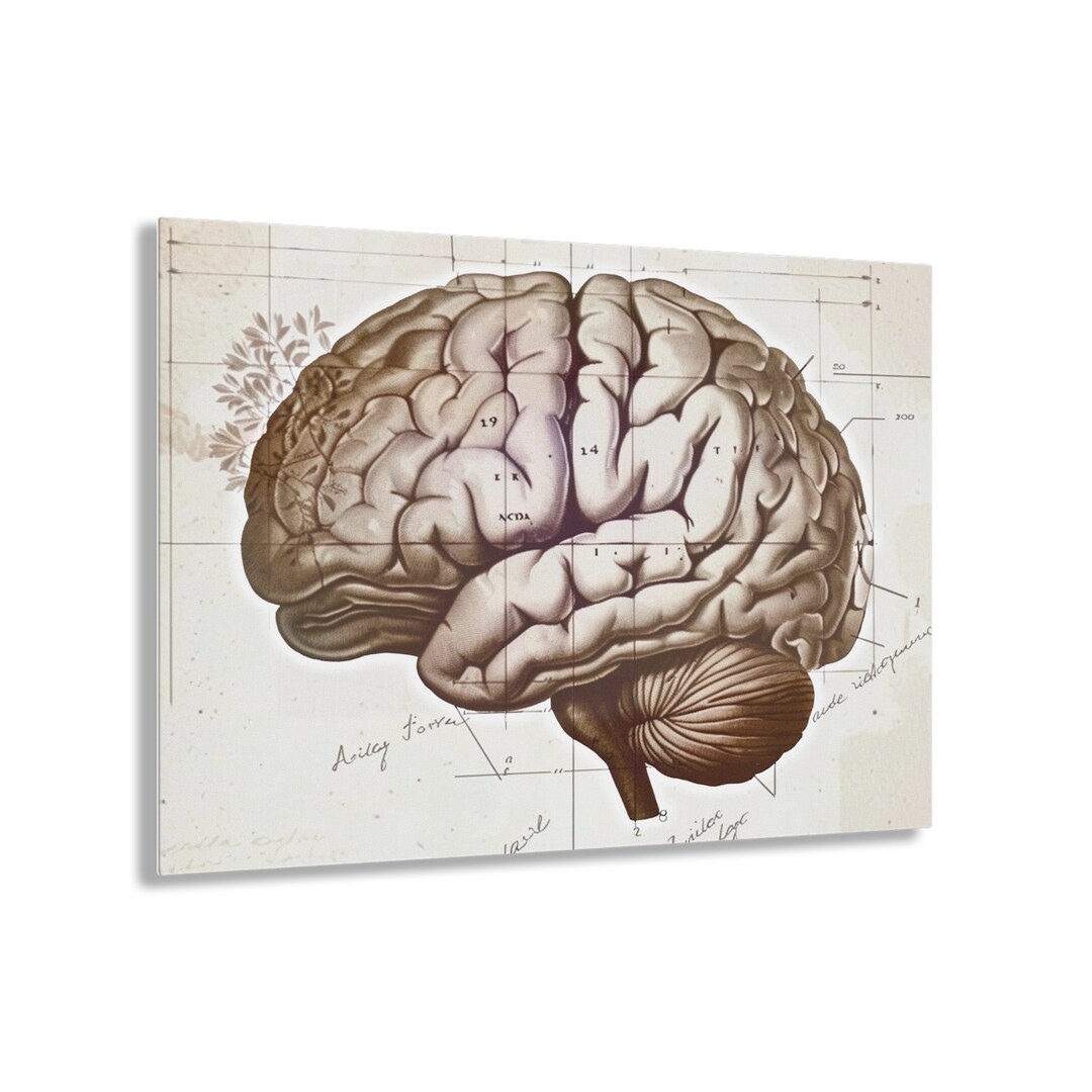 Neuronal Network Map: Brain Scan Poster, Neural Nexus, Neuroscience ...