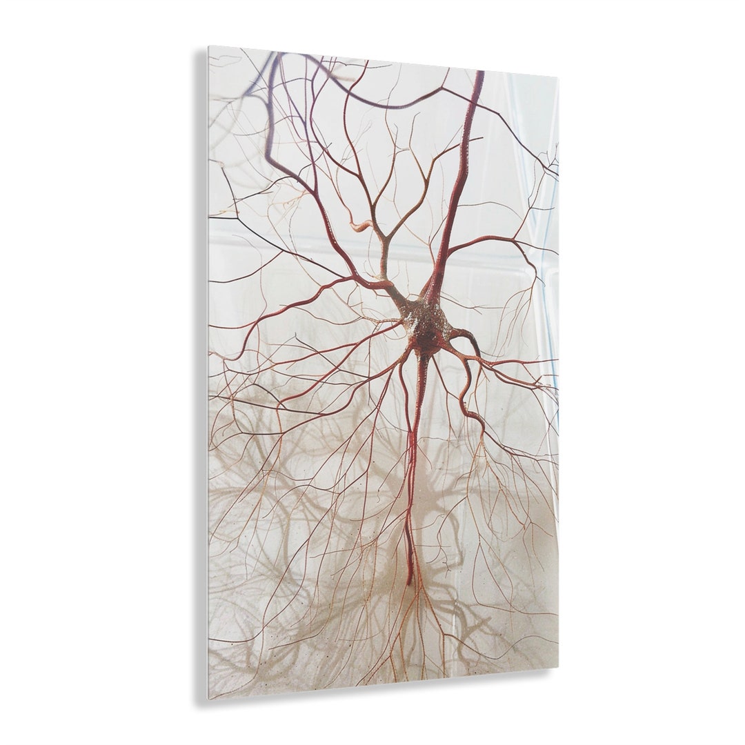 Neuronal Network Map: Brain Diagram, Neural Nexus, Canvas Acrylic ...