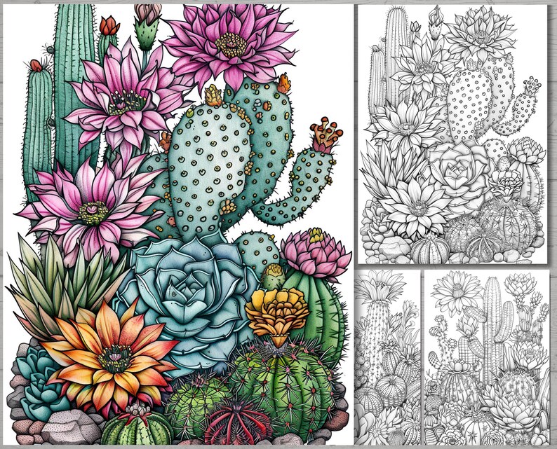Blooming Cactus Coloring Pages: Floral Cacti Designs (PDF Download) - Etsy