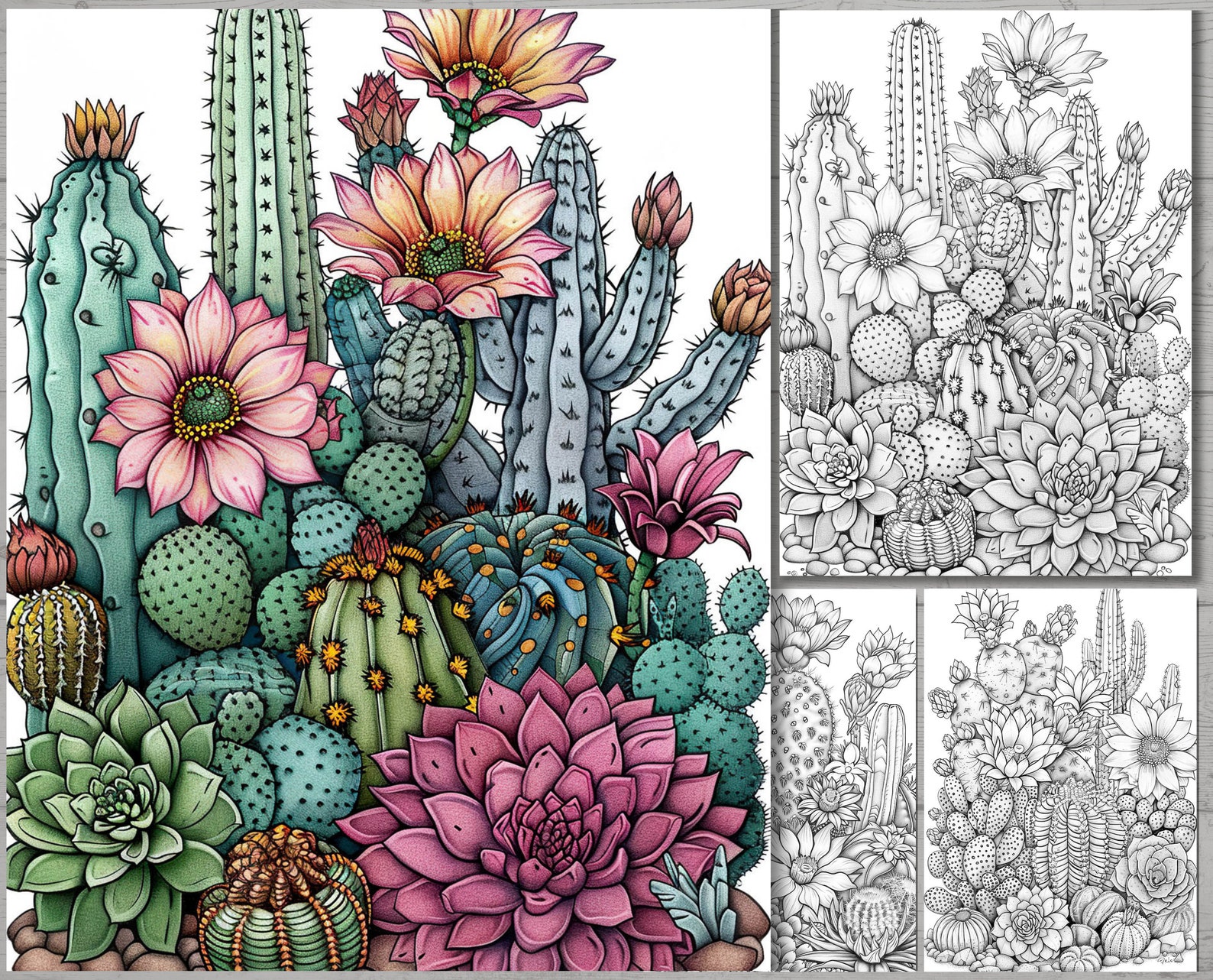 Blooming Cactus Coloring Pages: Floral Cacti Designs (PDF Download) - Etsy