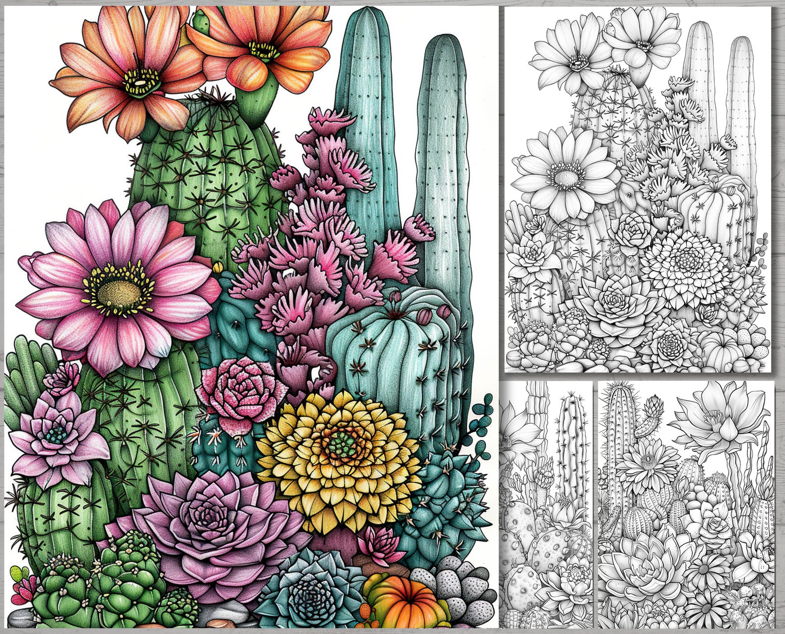 Blooming Cactus Coloring Pages: Floral Cacti Designs (PDF Download) - Etsy