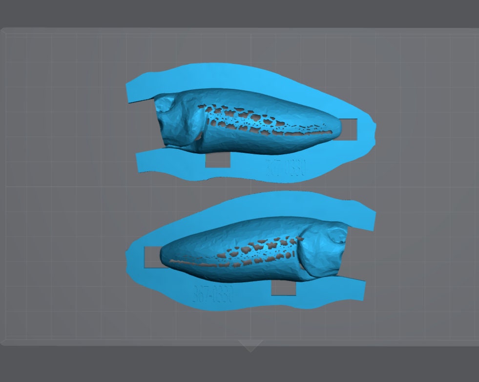 Largemouth Bass Stripe Pattern Stencil for Pop Maxx Topwater - Etsy