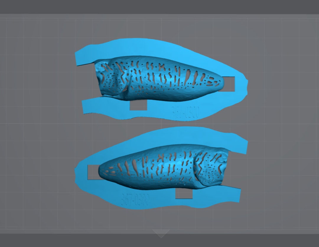 Bluegill Pattern Stencil for Pop Maxx Topwater - Etsy