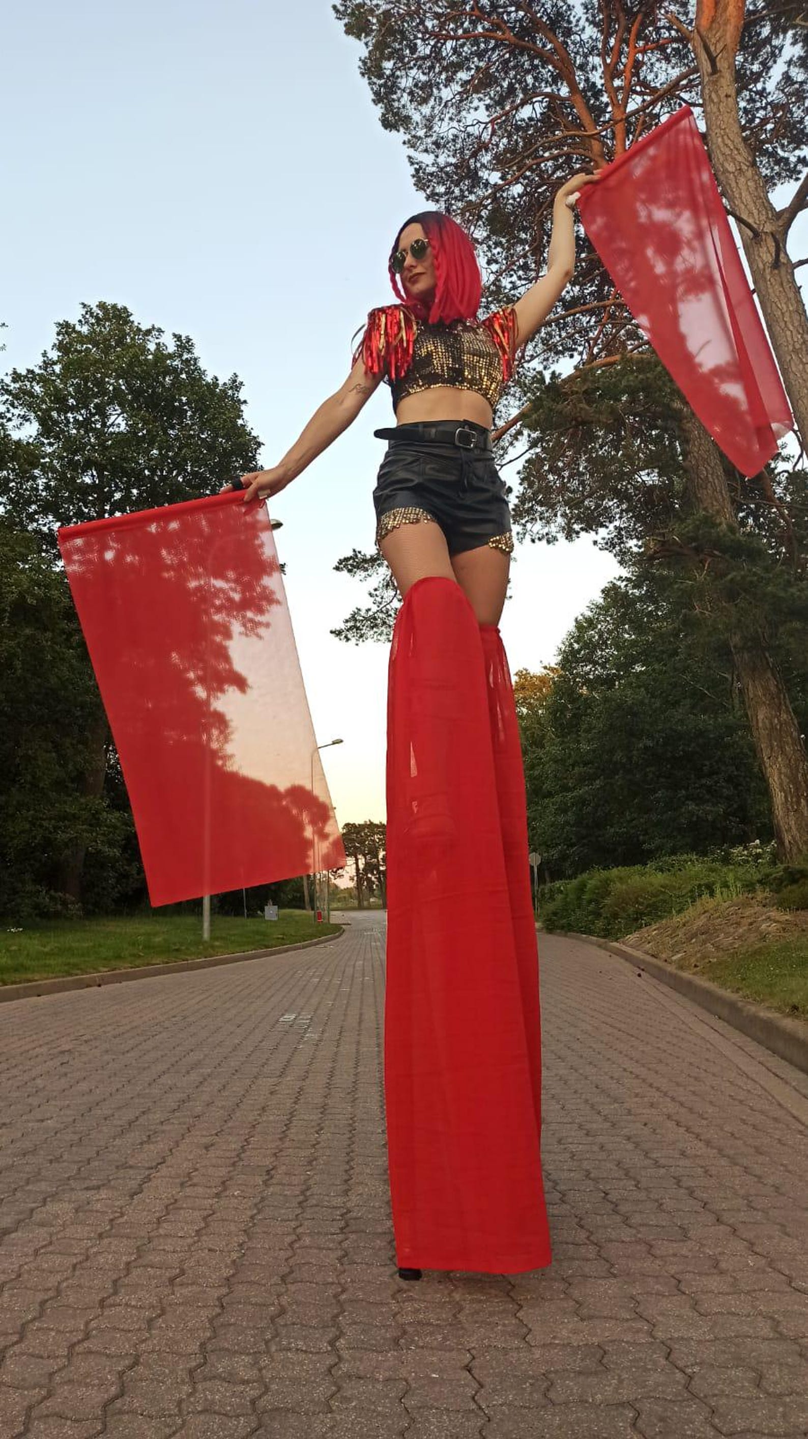 Circus Stilts Stilts Aluminum Stilts Handmade Aluminum Stilts Circus ...