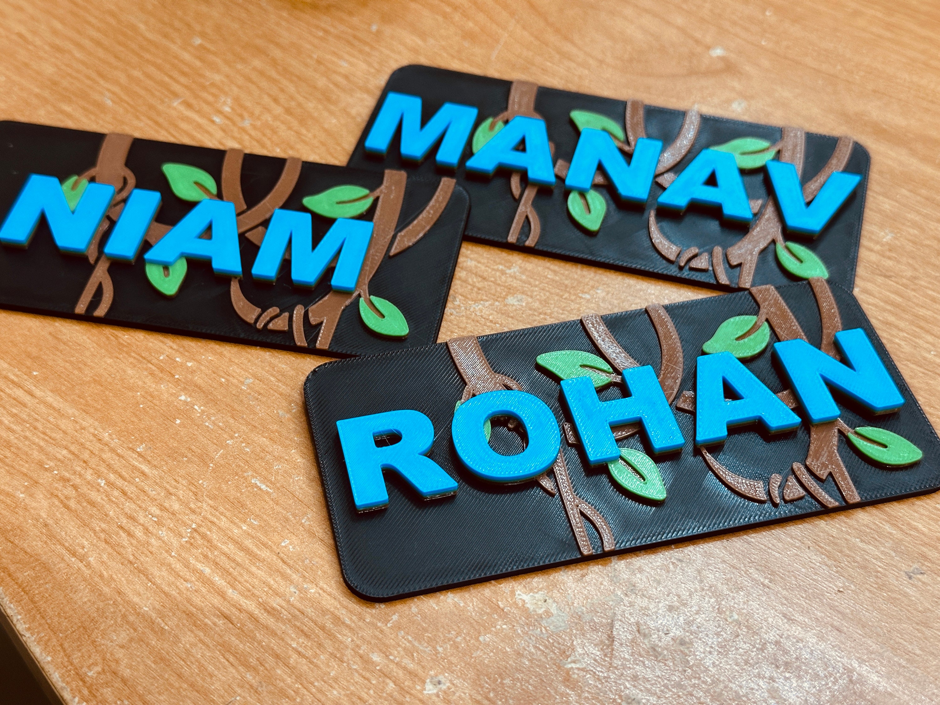 5 Custom Jungle Name Plate for Walls, Doors or Reptile Enclosures - Etsy UK