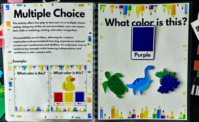 Color Matching and Color Sorting for Autism - Etsy