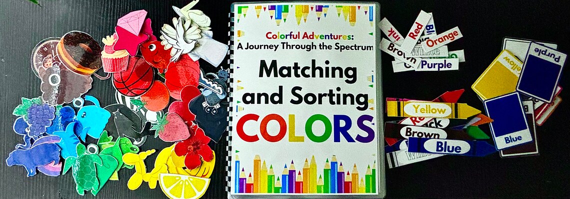 Color Matching and Color Sorting for Autism - Etsy