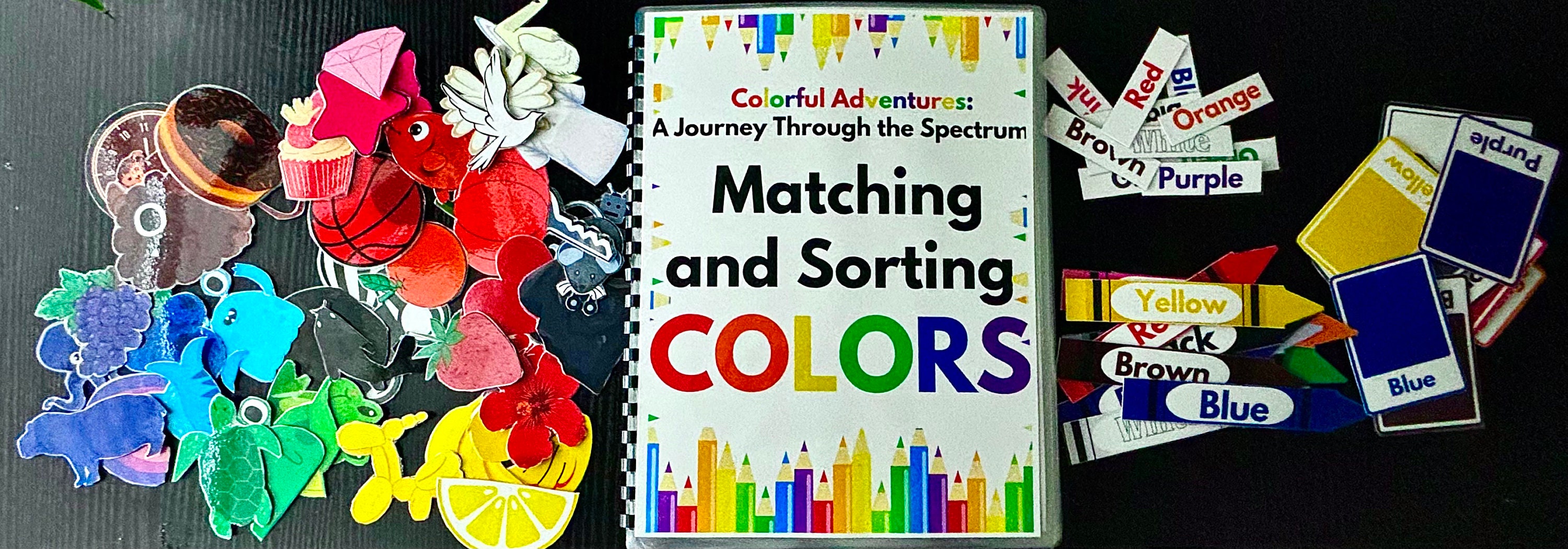 Color Matching and Color Sorting for Autism - Etsy