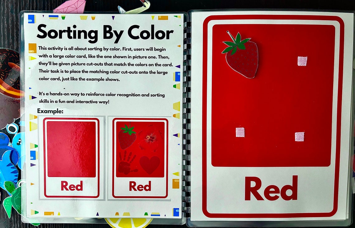 Color Matching and Color Sorting for Autism - Etsy