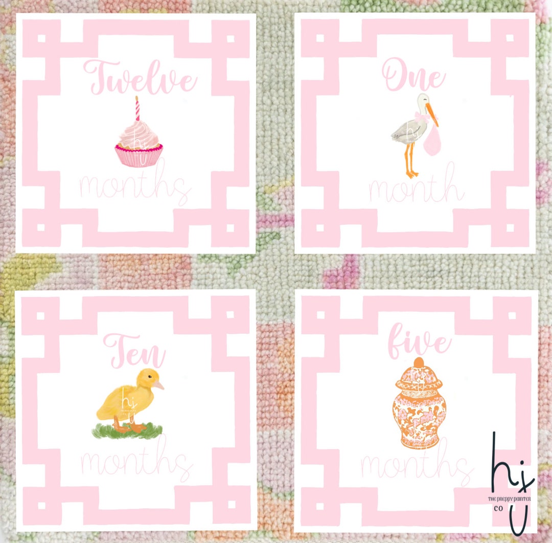 Girl Milestone Cards | Milestone Cards | Stork | Baby Gift | New Mom ...