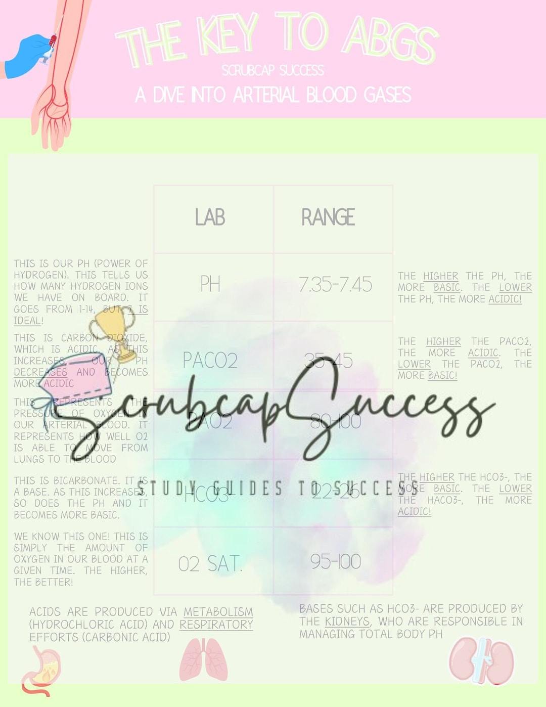 The Key to Abgs Arterial Blood Gas Study Guide for Nursing Students - Etsy