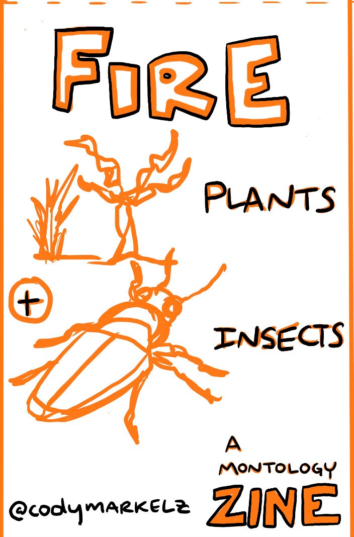 Fire Zine - Plants and Insects - Mini-zine - Etsy