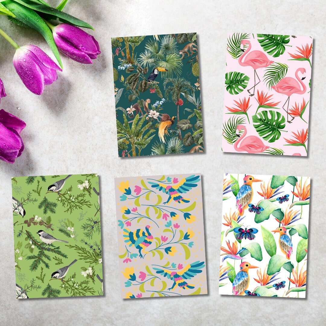 Bird Theme Blank Cards Set of Five, Blank Cards Pack of Five - Etsy