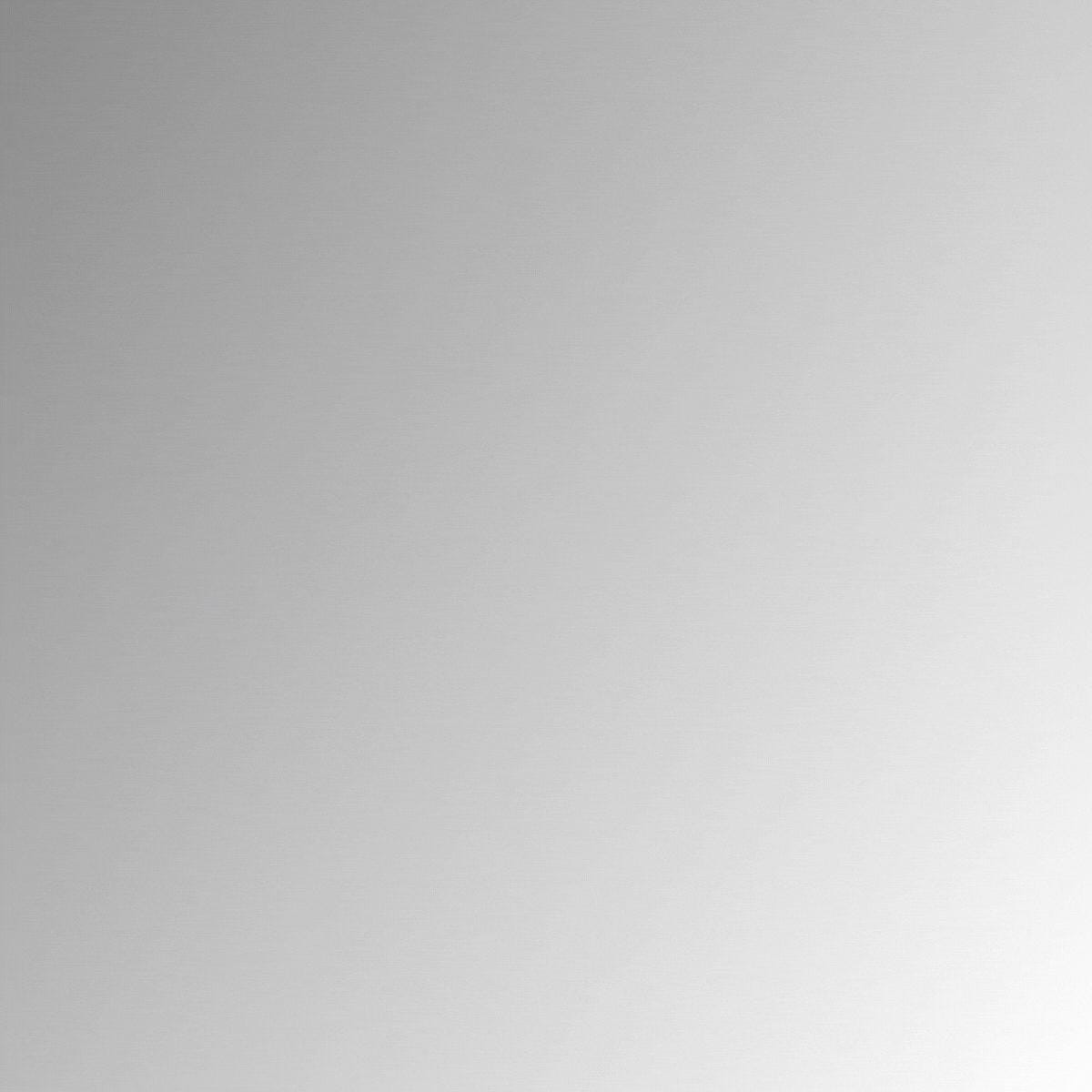 Plant Care Printable Journal Pages Set- Fillable and Printable Version ...