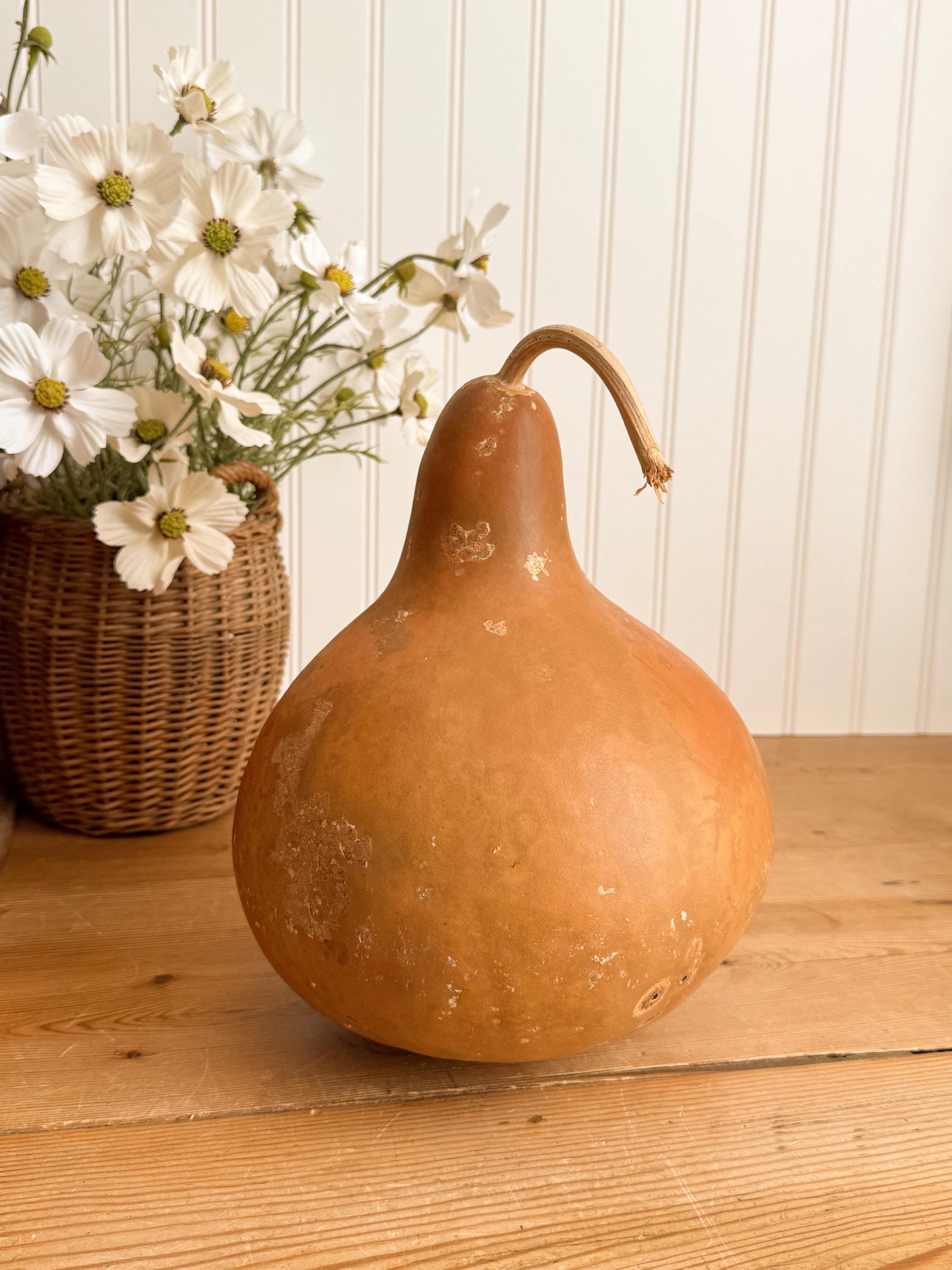 Vintage Real Dried Gourd, Fall Decor, Primitive Decor - Etsy