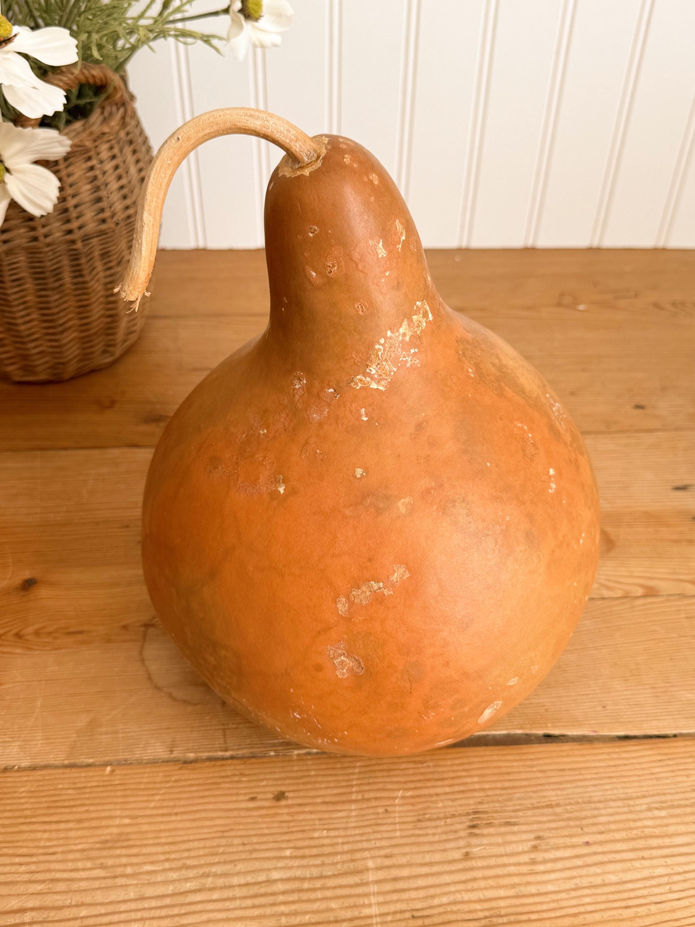 Vintage Real Dried Gourd, Fall Decor, Primitive Decor - Etsy