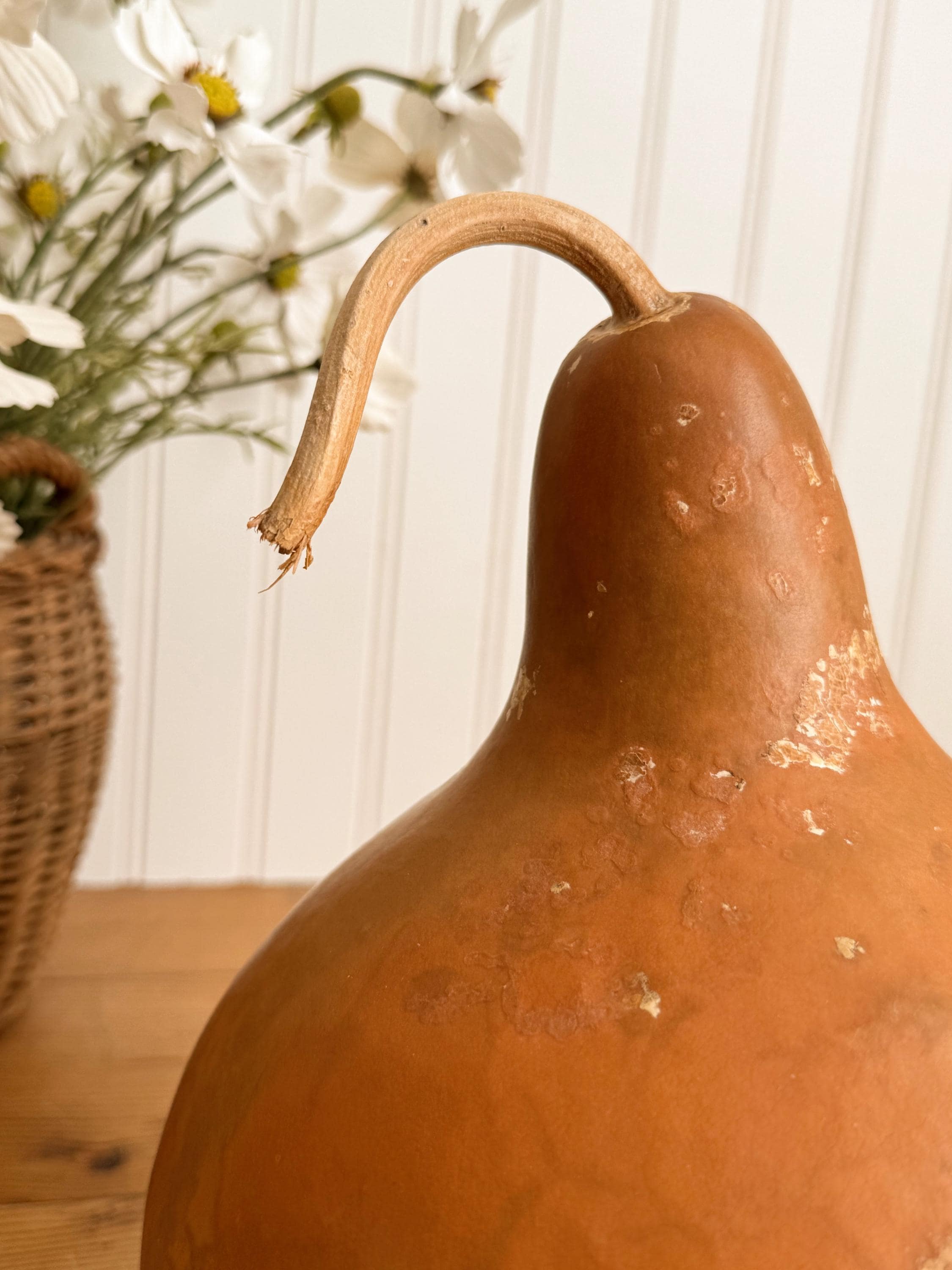 Vintage Real Dried Gourd, Fall Decor, Primitive Decor - Etsy