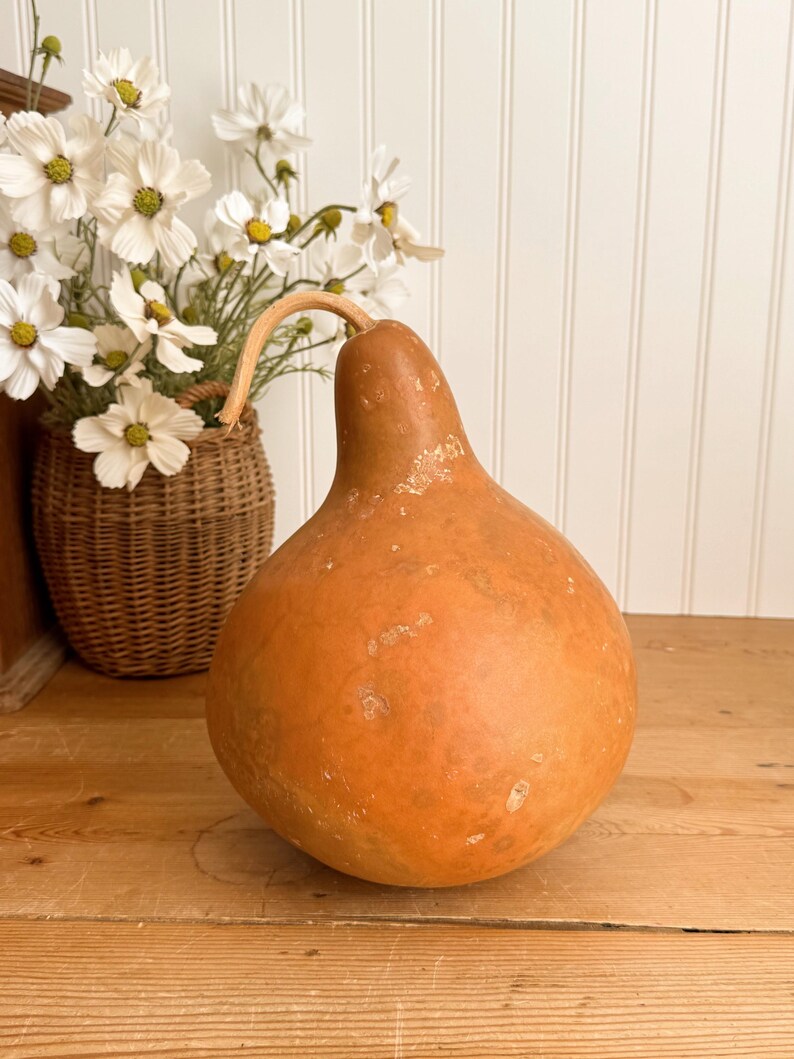 Vintage Real Dried Gourd, Fall Decor, Primitive Decor - Etsy