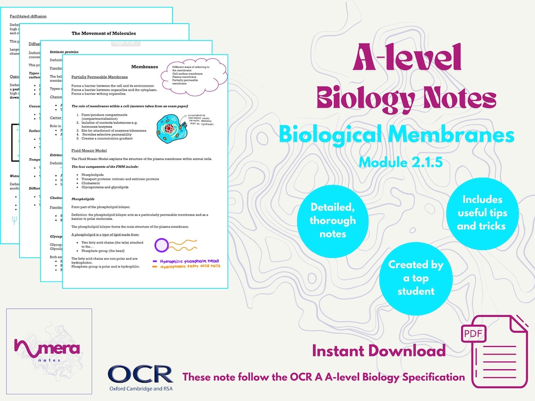 A-level OCR Biology A, Biological Membranes Detailed Study Notes - Etsy