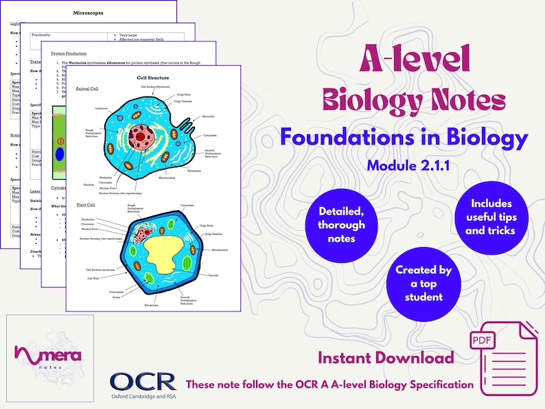 A-level OCR Biology A, Cell Structure and Microscopes Detailed Study ...