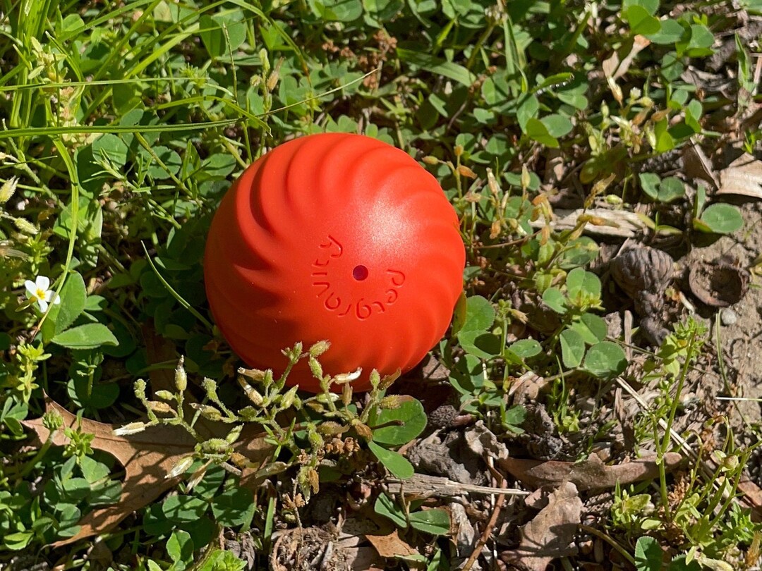 Bouncing Rolling Ball for Dogs Smart Automatic Moving Dog Toy - Etsy