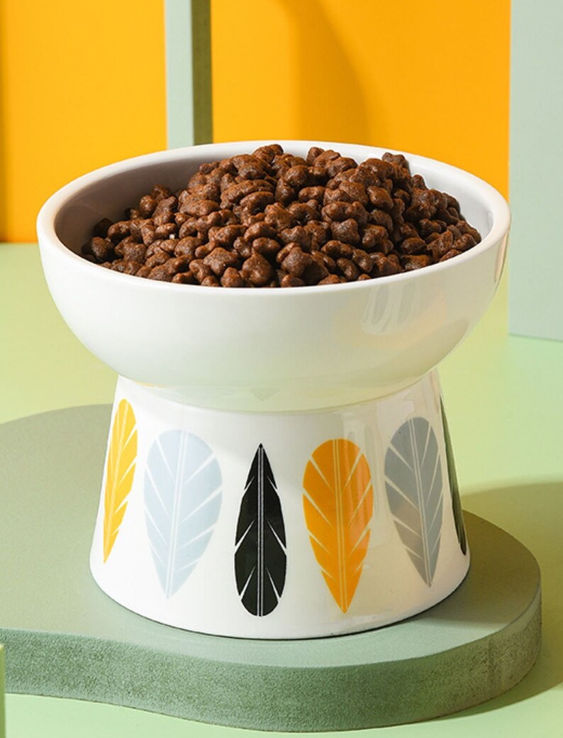 Elevated Ceramic Dogs Bowl Pet Dish Raised for Dogs and Cats Stylish ...