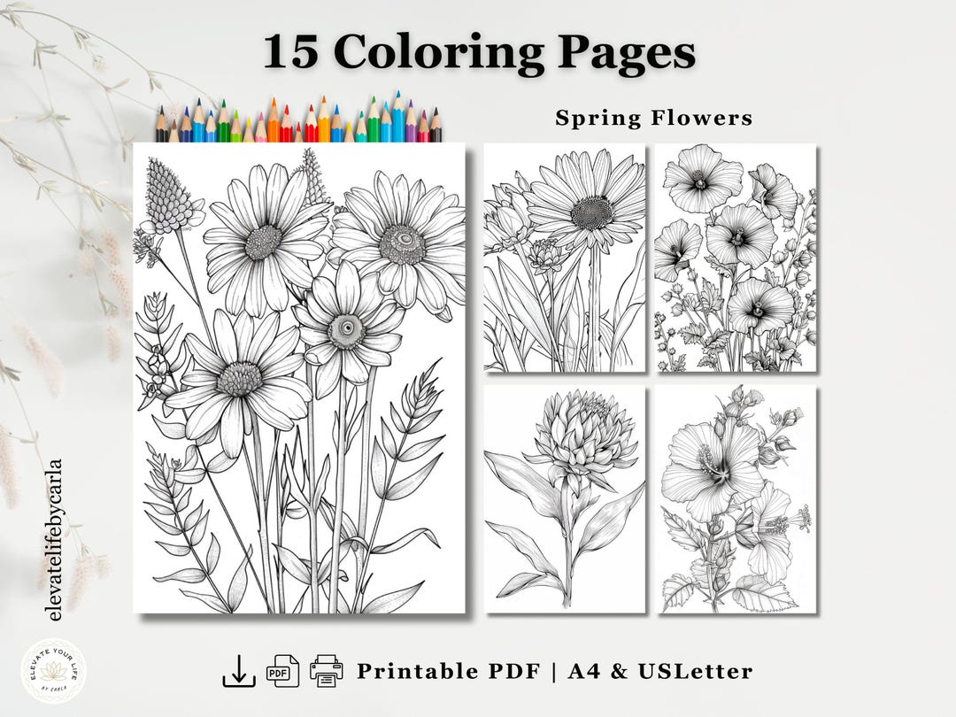 15 Spring Flowers Coloring Pages - Printable Botanical Coloring Sheets ...