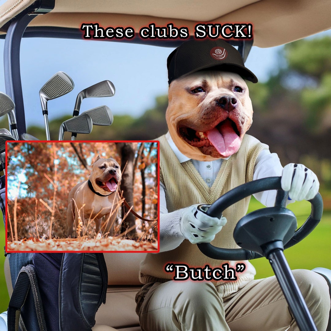 Funny Golfer Dog Custom Pet Portrait From Photo, Golfing Pit Bull ...
