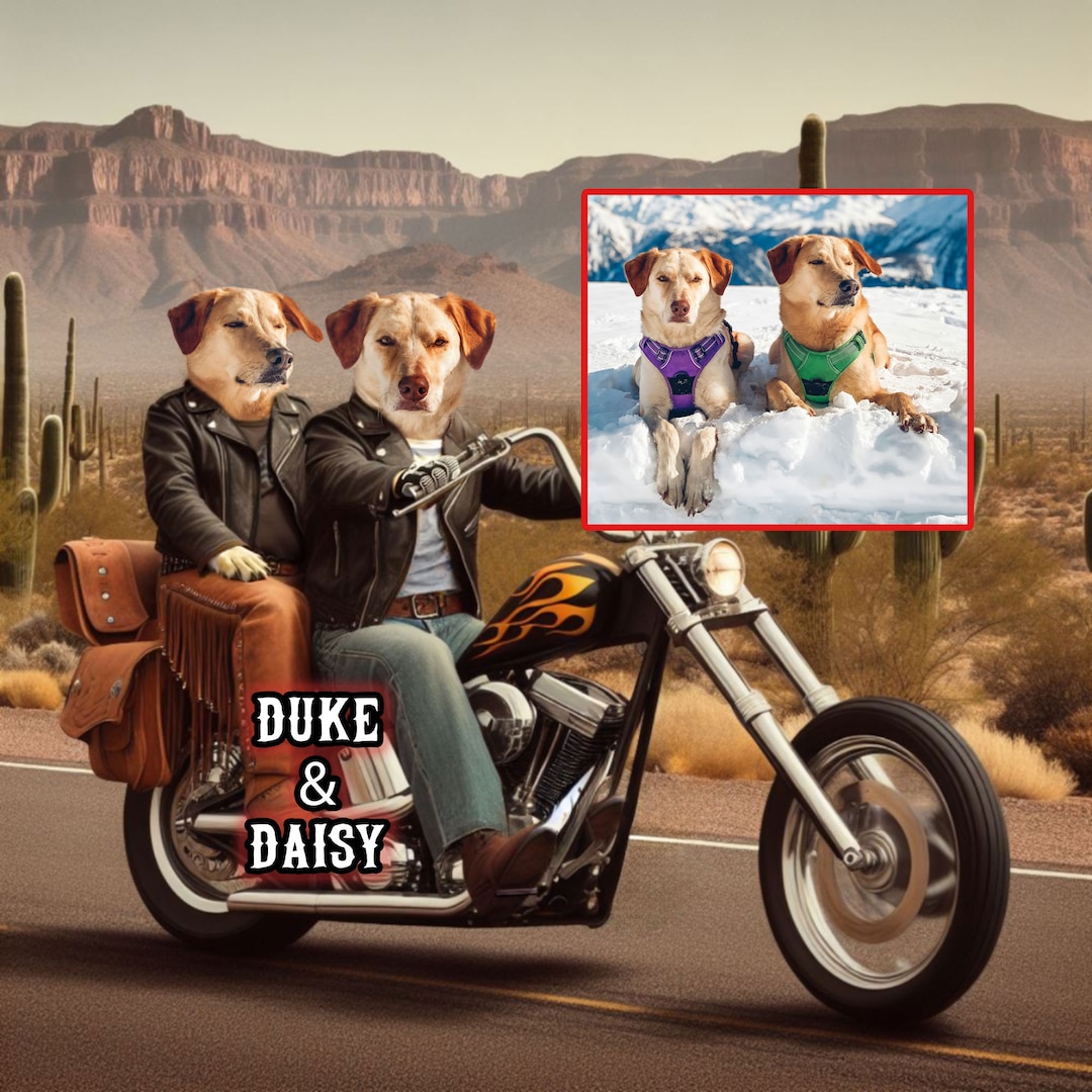2 Dogs on a Motorbike Custom Pet Portrait From Photo of Two Biker Dogs ...