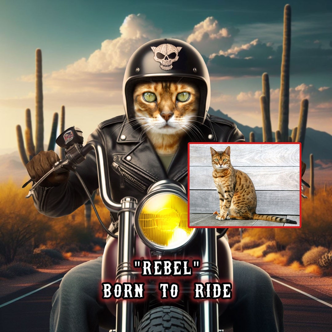 Custom Biker Cat Riding Motorcycle Portrait From Photo, Cat on a ...