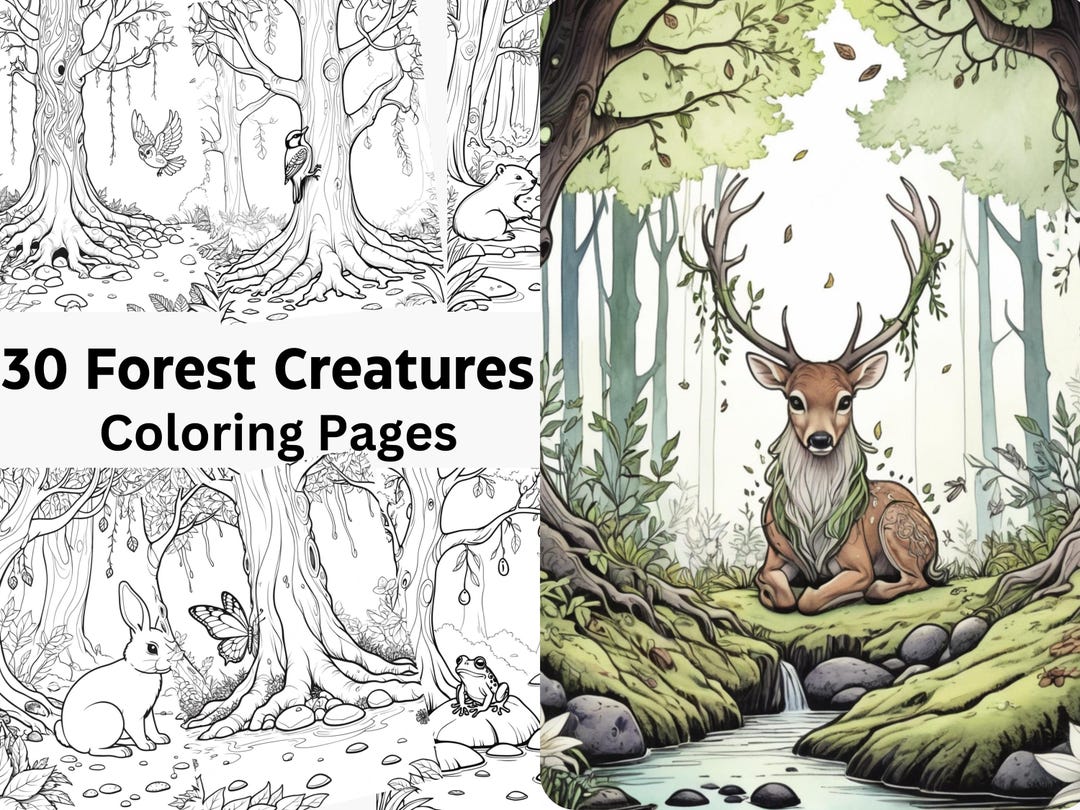 30 Woodland Animal Coloring Pages for Adults and Kid Foil Print Nature ...
